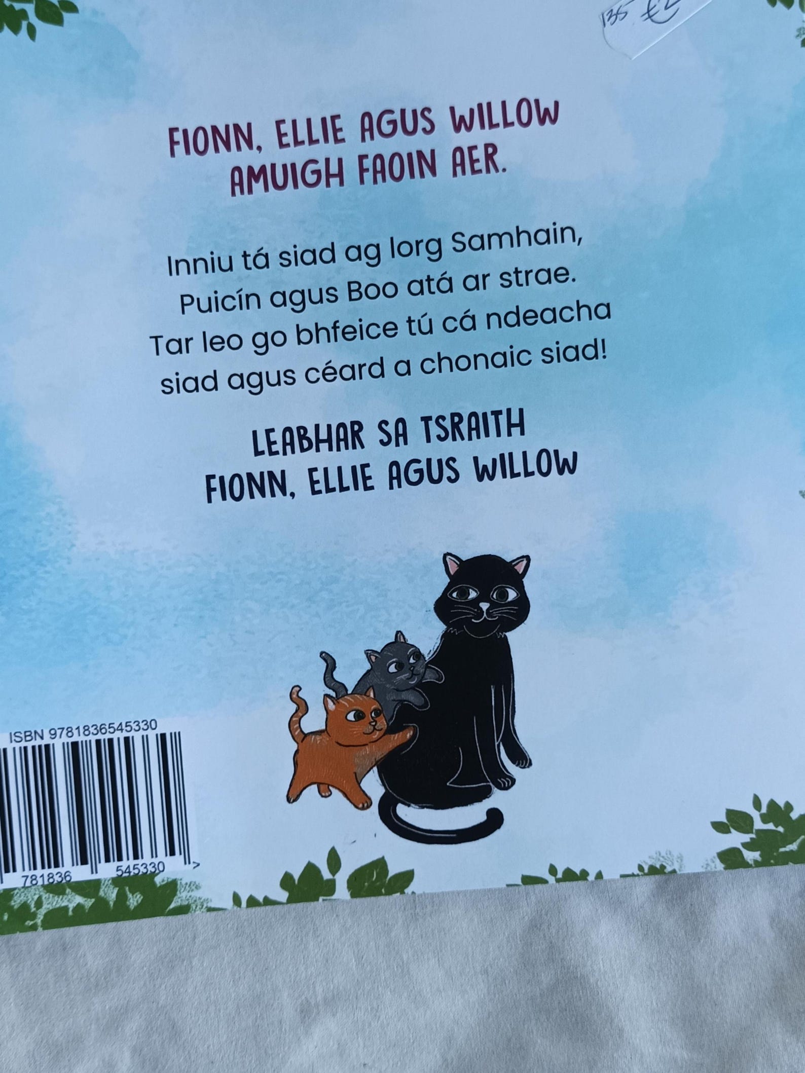 Rare Irish Language Kids Book: Lost Cat Story - Out of Print - Etsy