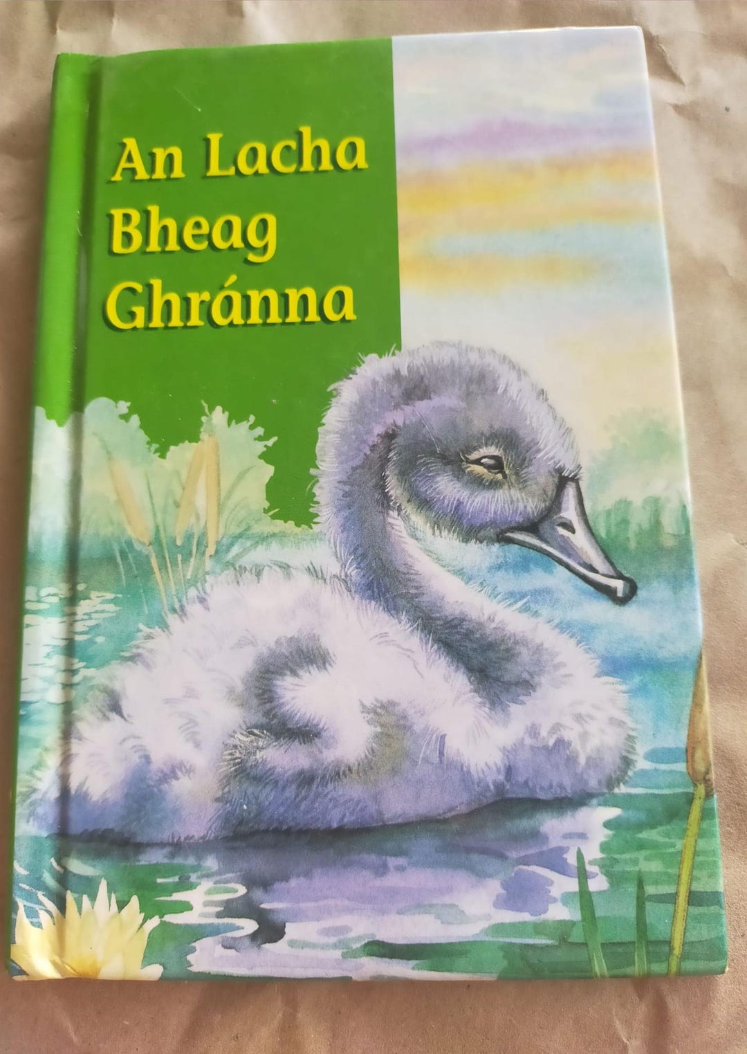 An Lacha Bheag Ghránna the Ugly Duckling Irish Language Childrens Kids ...