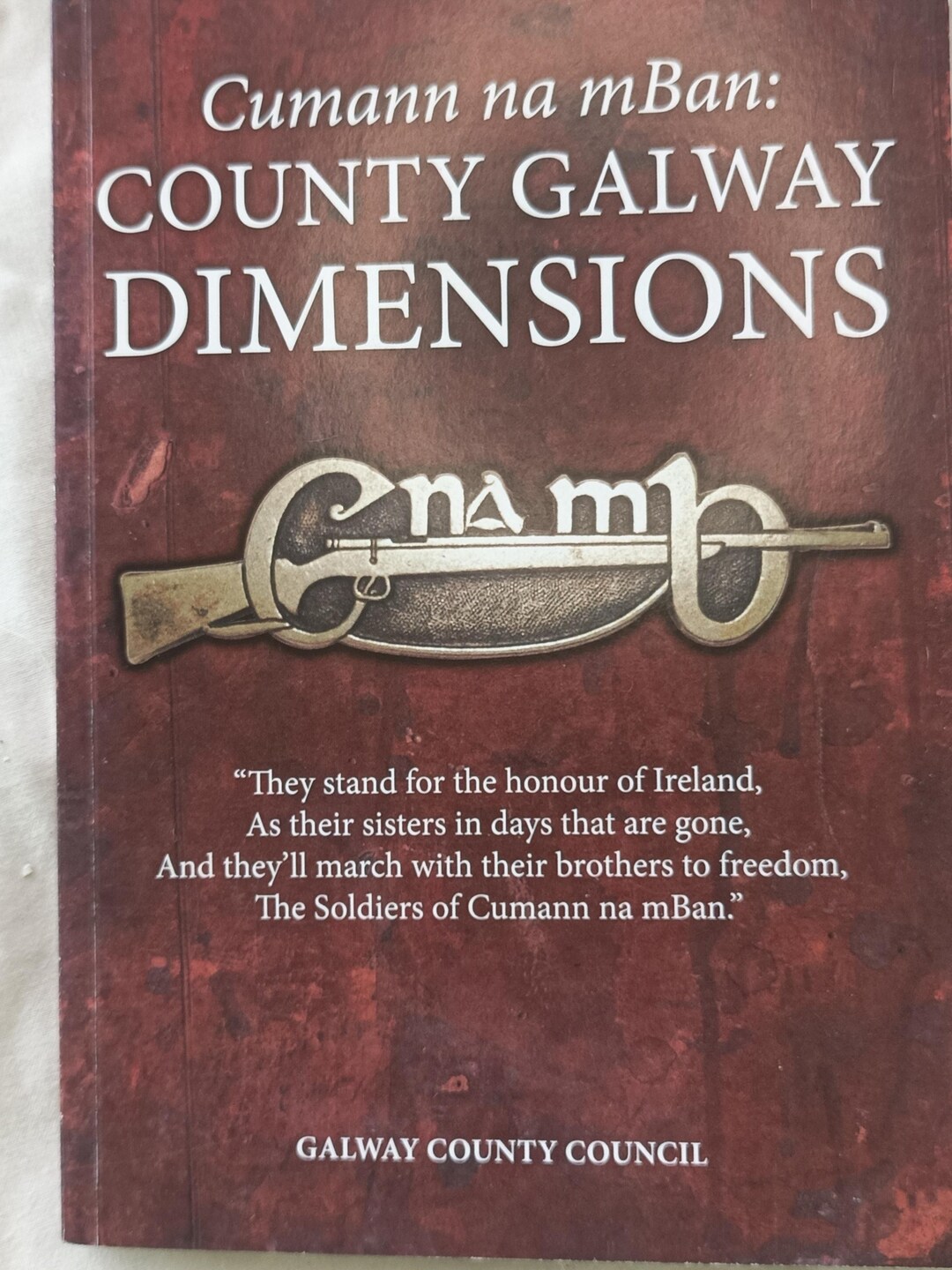 Cumann Na Mban: County Galway Dimensions (irish Edition) Galway Council ...