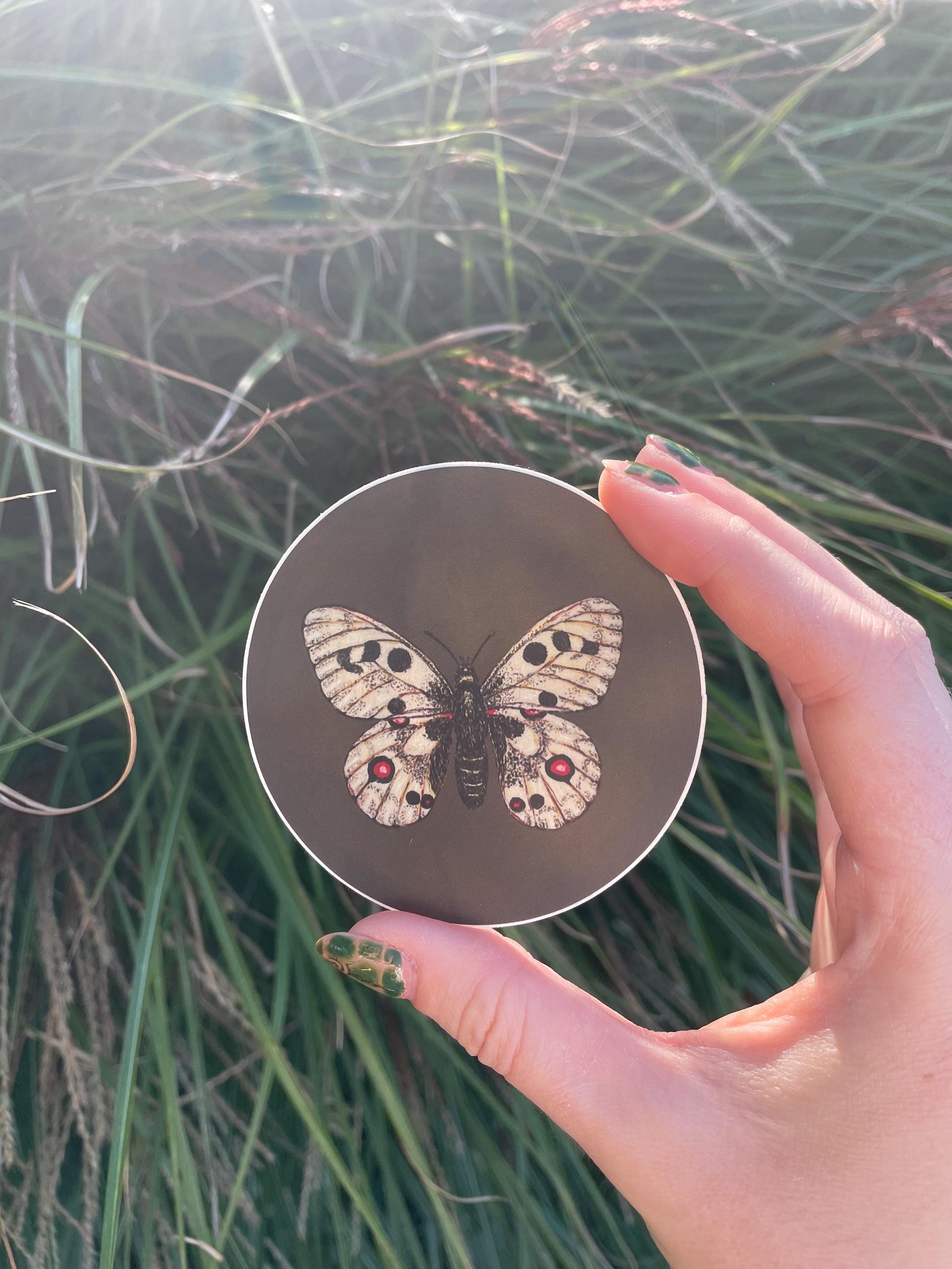 Round Apollo Butterfly Vinyl Sticker - Etsy