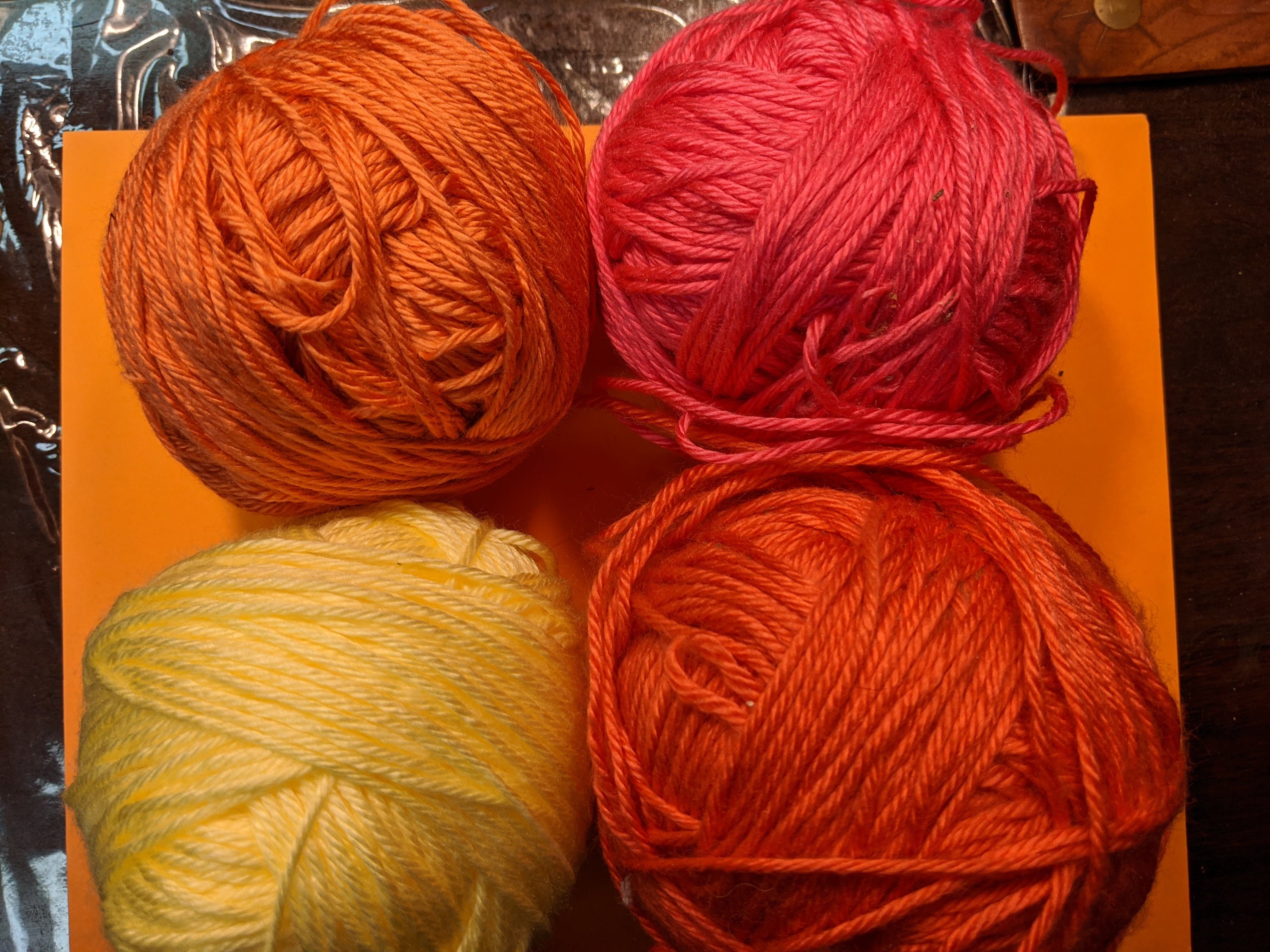 Parrot Macaw Amazon Cockatoo African Grey Custom Sweater for | Etsy