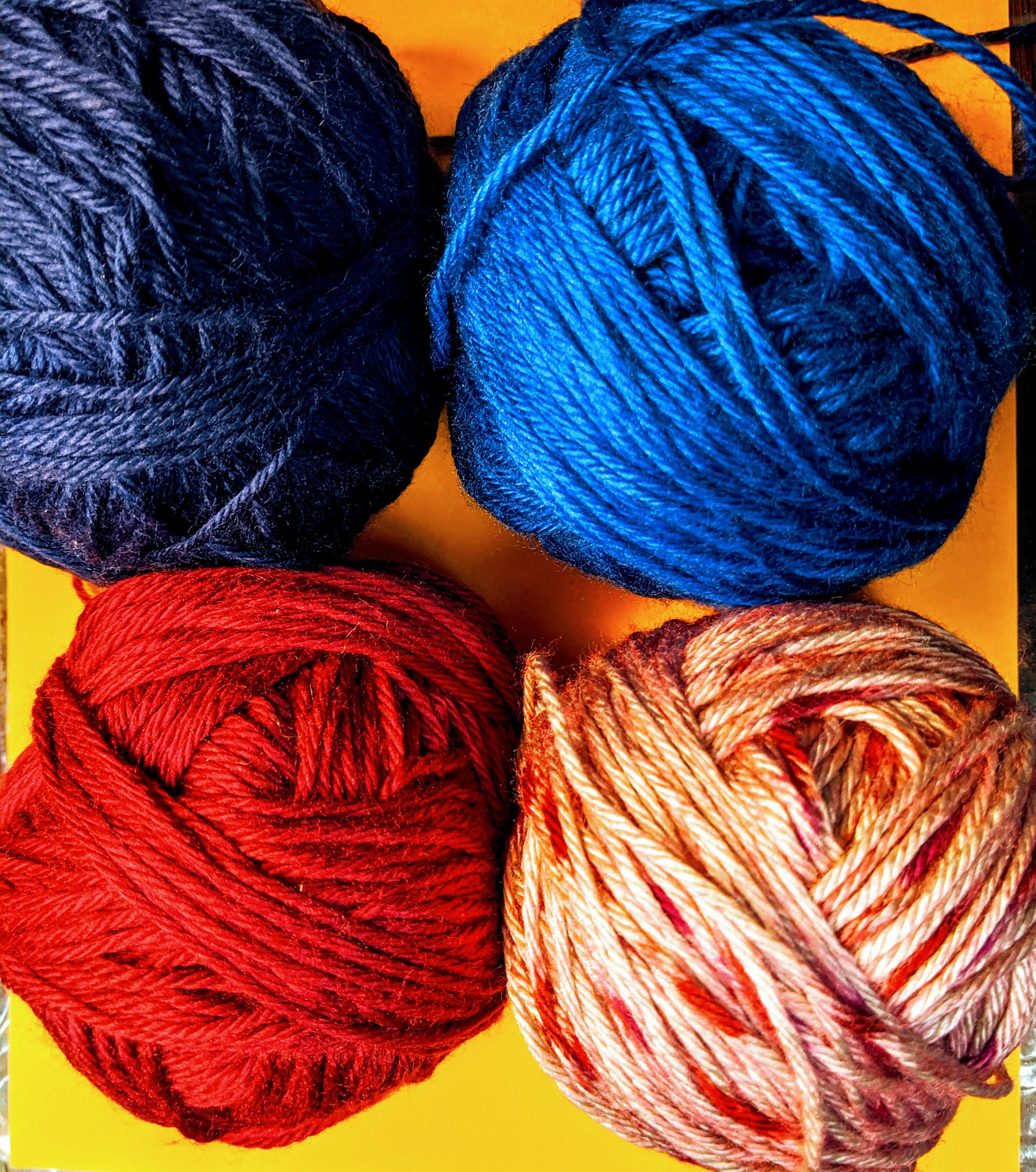 Parrot Macaw Amazon Cockatoo African Grey Custom Sweater for | Etsy