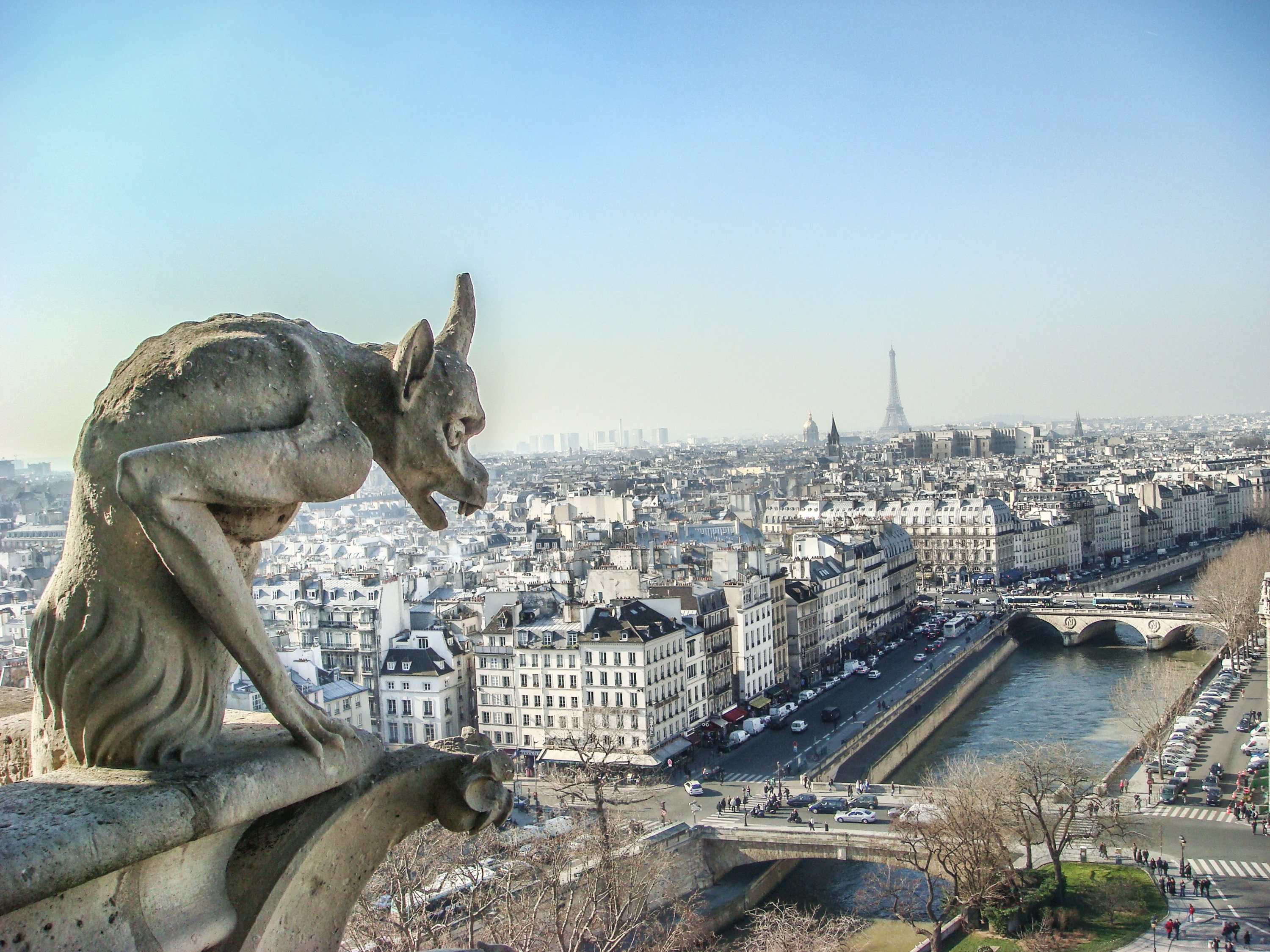 NOTRE DAME PARIS Gargoyle City Outlook Eiffel Tower Paris France Photo ...