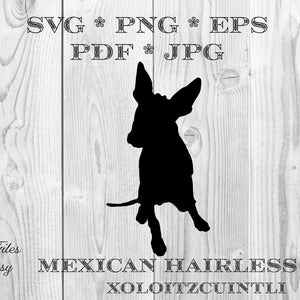Xolo SVG Xoloitzcuintli Mexican Hairless Dog Silhouette Scalable Vector ...