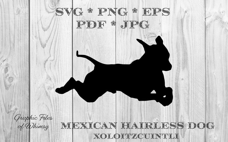 Xolo SVG Xoloitzcuintli Mexican Hairless Dog Silhouette Scalable Vector ...