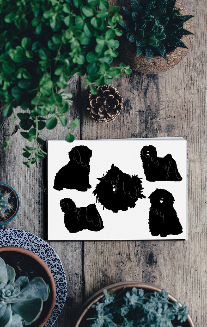 Puli SVG Dogs Silhouette PNG JPG Pdf Eps Digital Graphic Files - Etsy