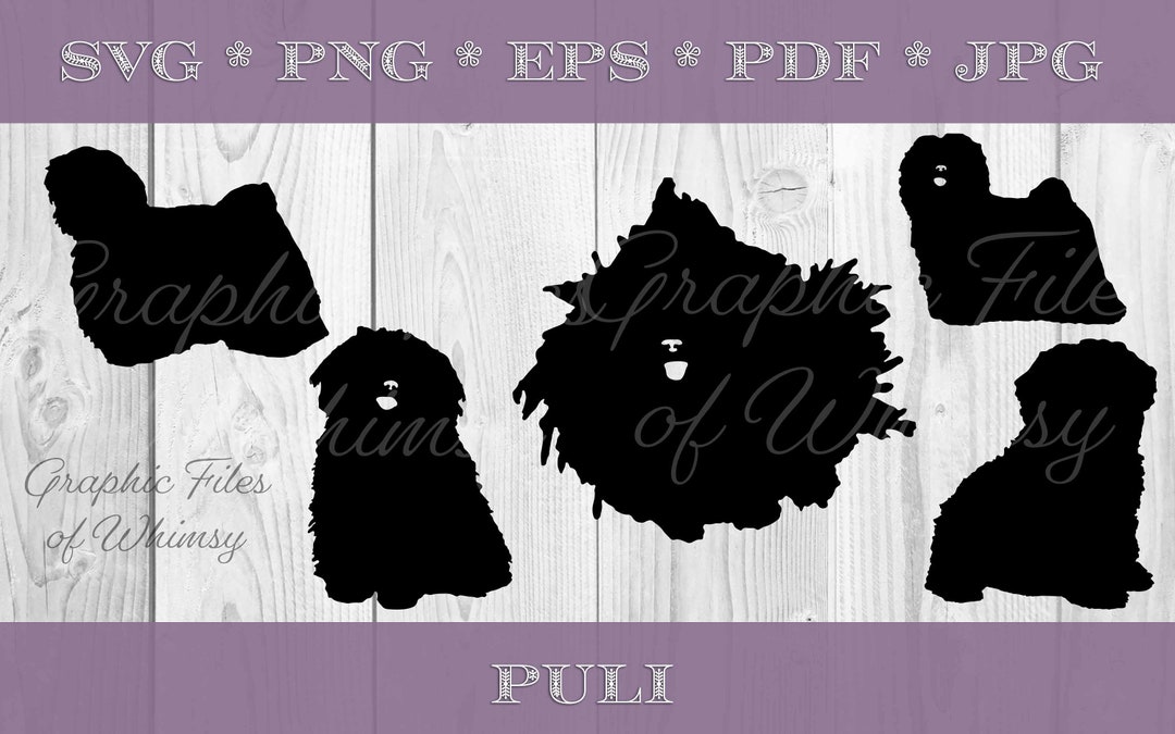 Puli SVG Dogs Silhouette PNG JPG Pdf Eps Digital Graphic Files - Etsy