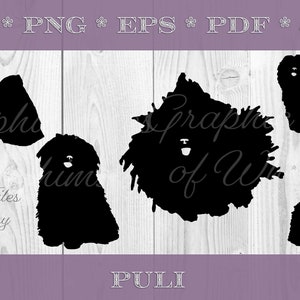 Puli SVG Dogs Silhouette PNG JPG Pdf Eps Digital Graphic Files - Etsy