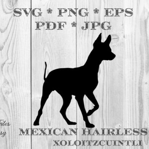 Xolo SVG Xoloitzcuintli Mexican Hairless Dog Silhouette Scalable Vector ...