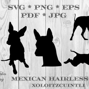 Xolo SVG Xoloitzcuintli Mexican Hairless Dog Silhouette Scalable Vector ...