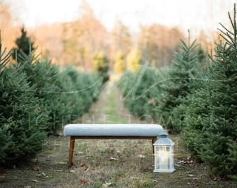 Christmas Tree Farm Digital Backdrop for Photography | Etsy