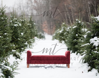 Christmas Tree Farm Digital Backdrop for Photography | Etsy