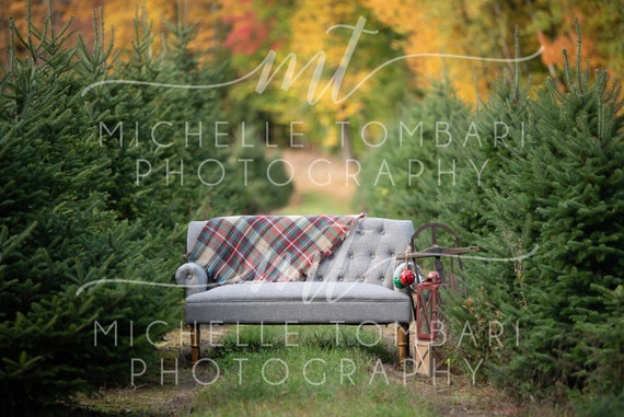 Christmas Tree Farm digital backdrop for photography | Etsy
