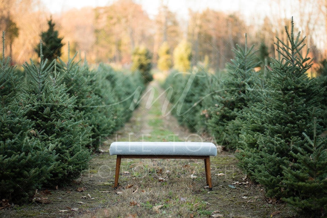 Christmas Tree Farm >> Digital Backdrop for Photography Composite ...
