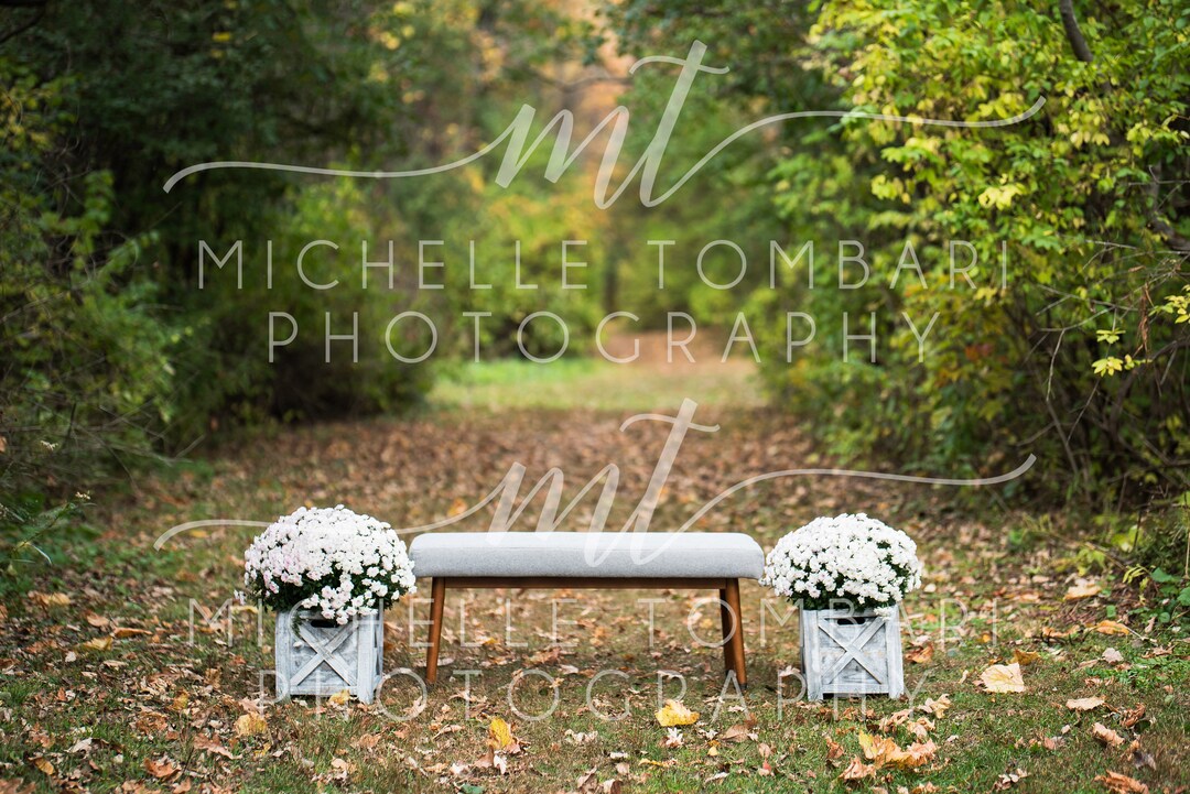 Fall Trail Digital >> Digital Backdrop for Photography Composite ...