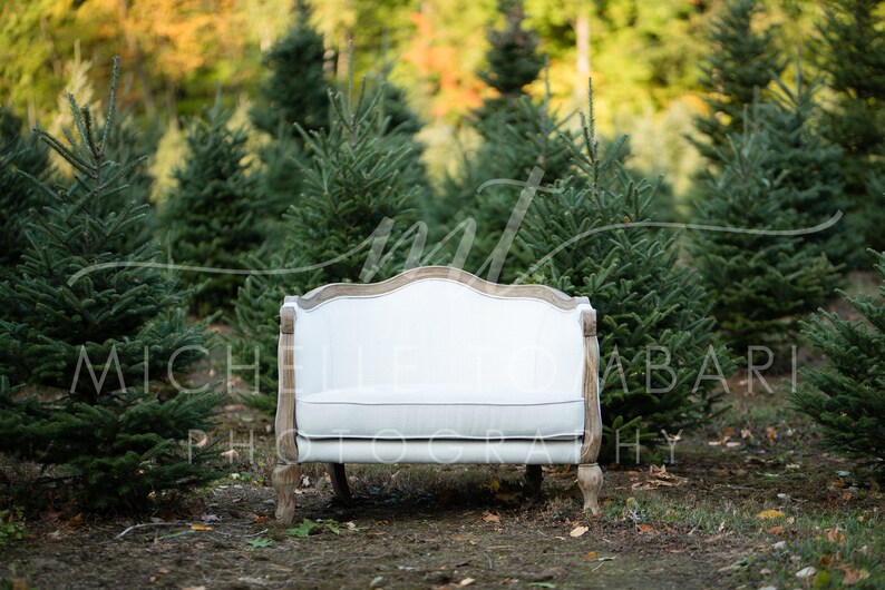 Christmas Tree Farm >> Digital Backdrop for Photography Composite ...