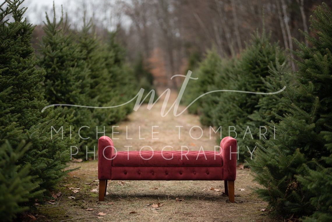 Christmas Tree Farm >> Digital Backdrop for Photography Composite ...