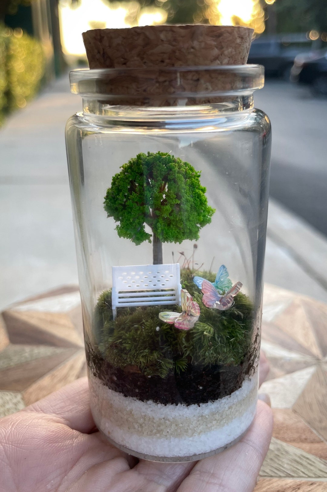 Mini Terrarium With LIVE Moss - Etsy