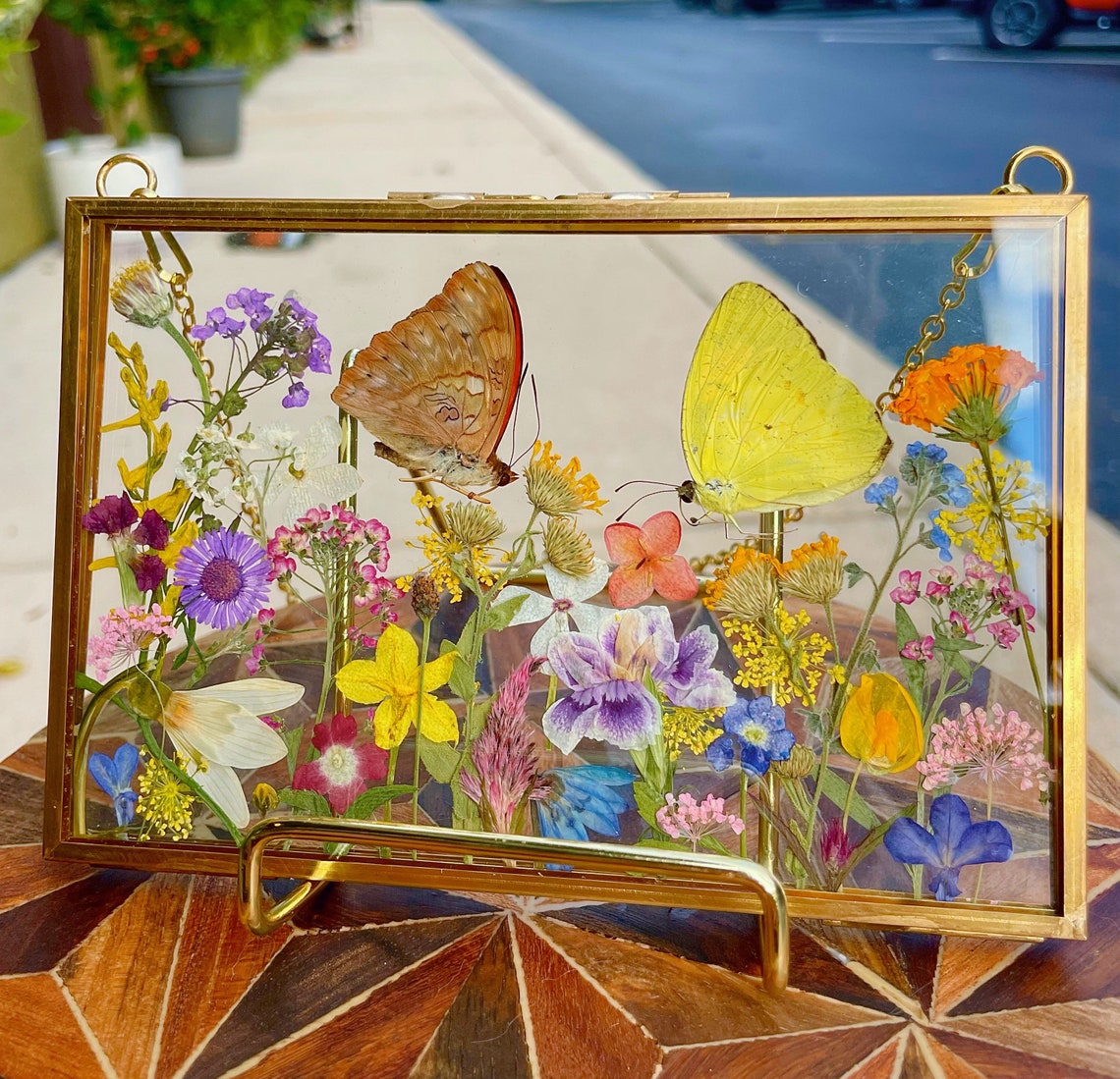 Pressed Flower Frame With Two Preserved Butterflies - Etsy
