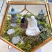 Terrarium Zen Garden With LIVE Moss, Crystals, Succulents and Air ...