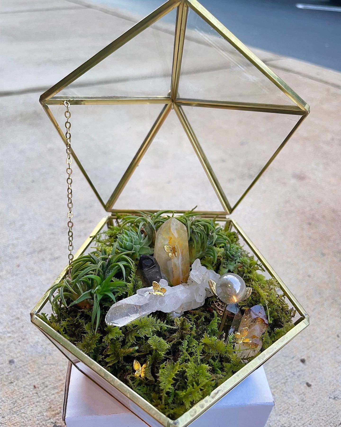 Mini LIVE Crystal Garden Terrarium - Etsy