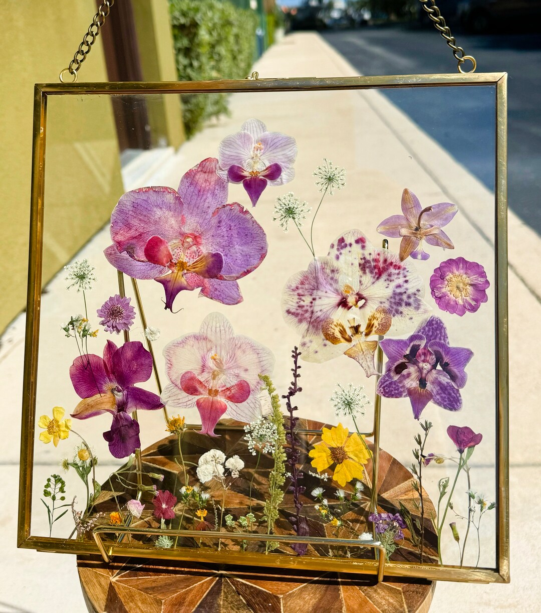 Hanging Pressed Flower Frame With Real Orchids - Etsy