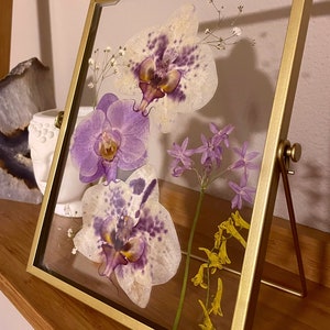 Pressed Flower Frame With Real Orchids - Etsy