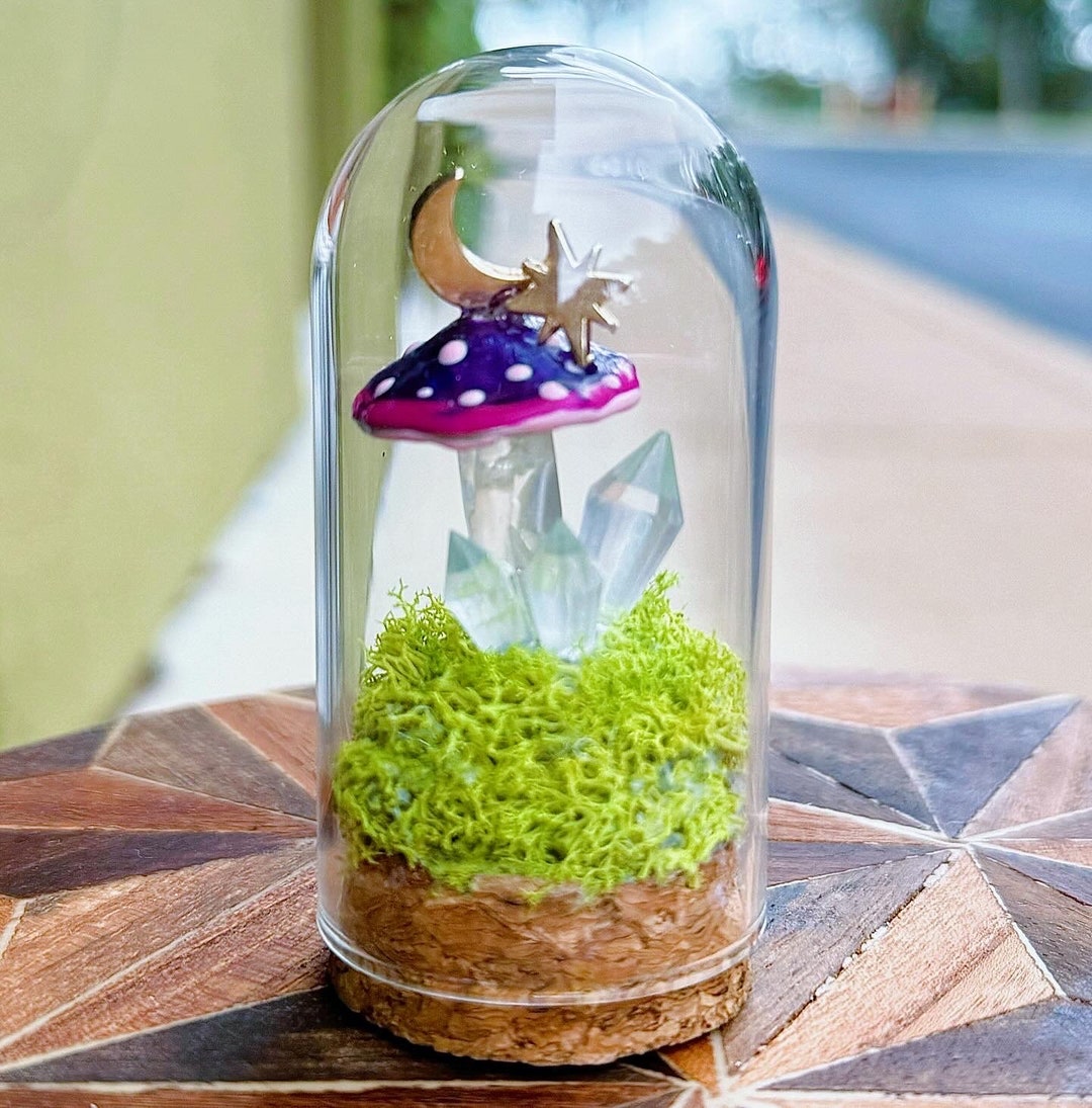 Mini Terrarium With LIVE Moss, Quartz - Etsy