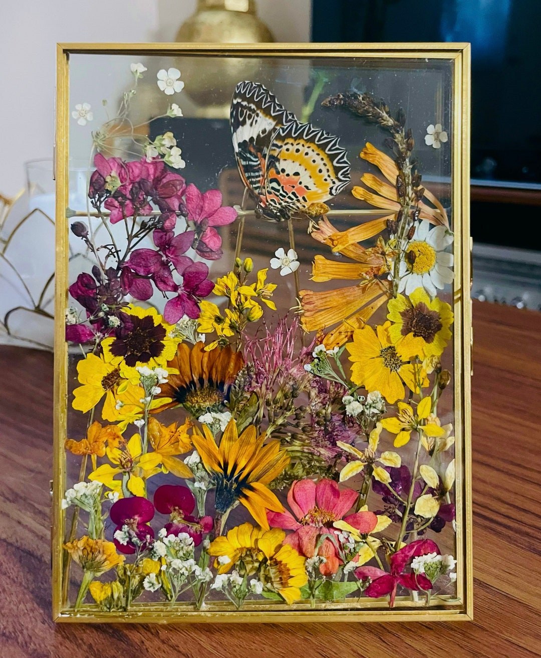 Pressed Flower Frame With Real Butterfly - Etsy