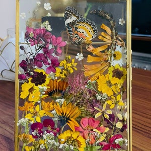 Pressed Flower Frame With Real Butterfly - Etsy