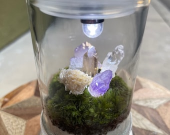Mini LIVE Crystal Garden Terrarium | Etsy
