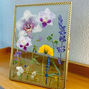 Pressed Flower Frame Real Orchids - Etsy