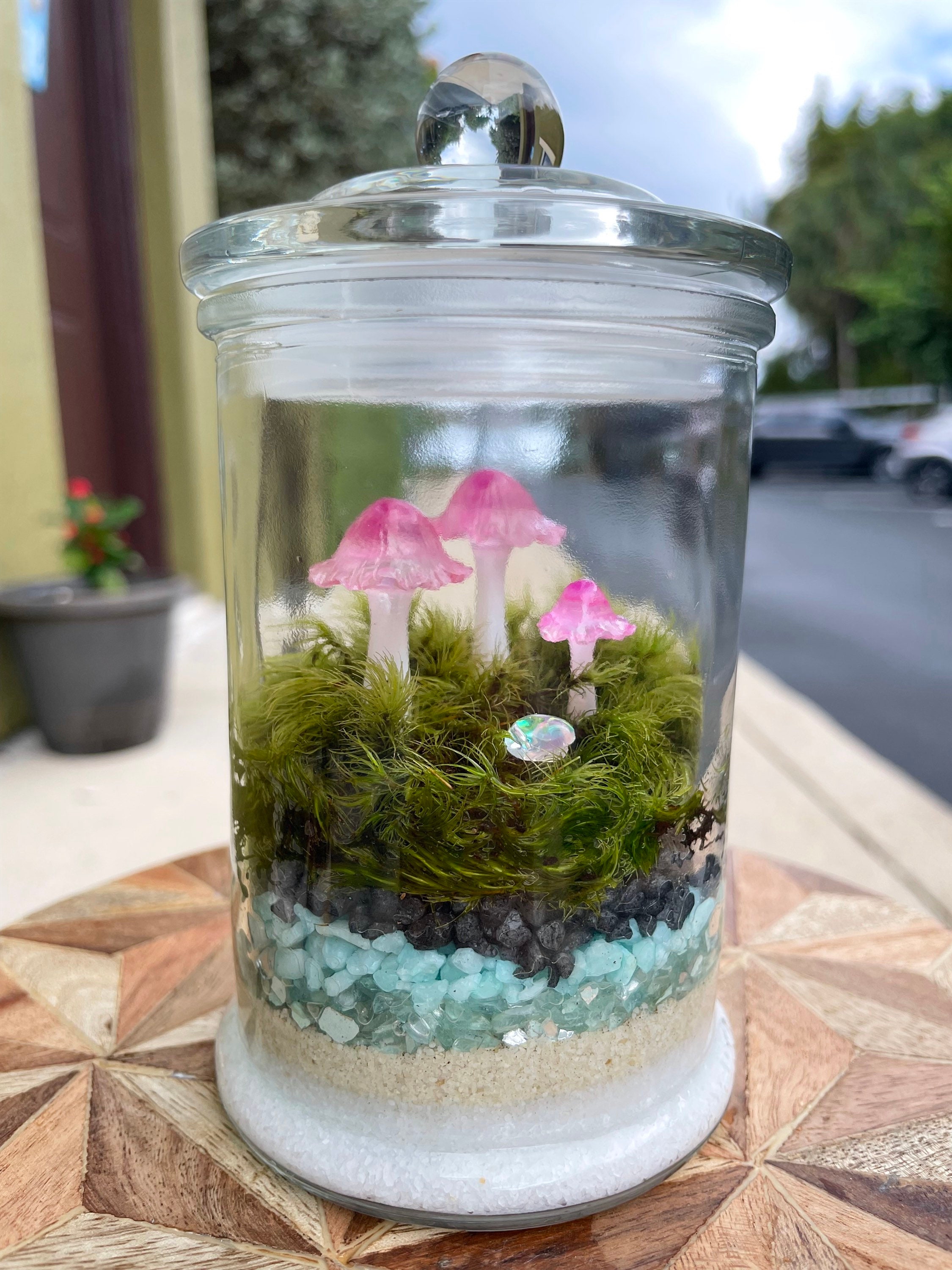 Mini Terrarium With LIVE Moss Mushrooms and Gemstone | Etsy