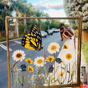 Pressed Flower Frame With a Real Preserved Butterfly - Etsy