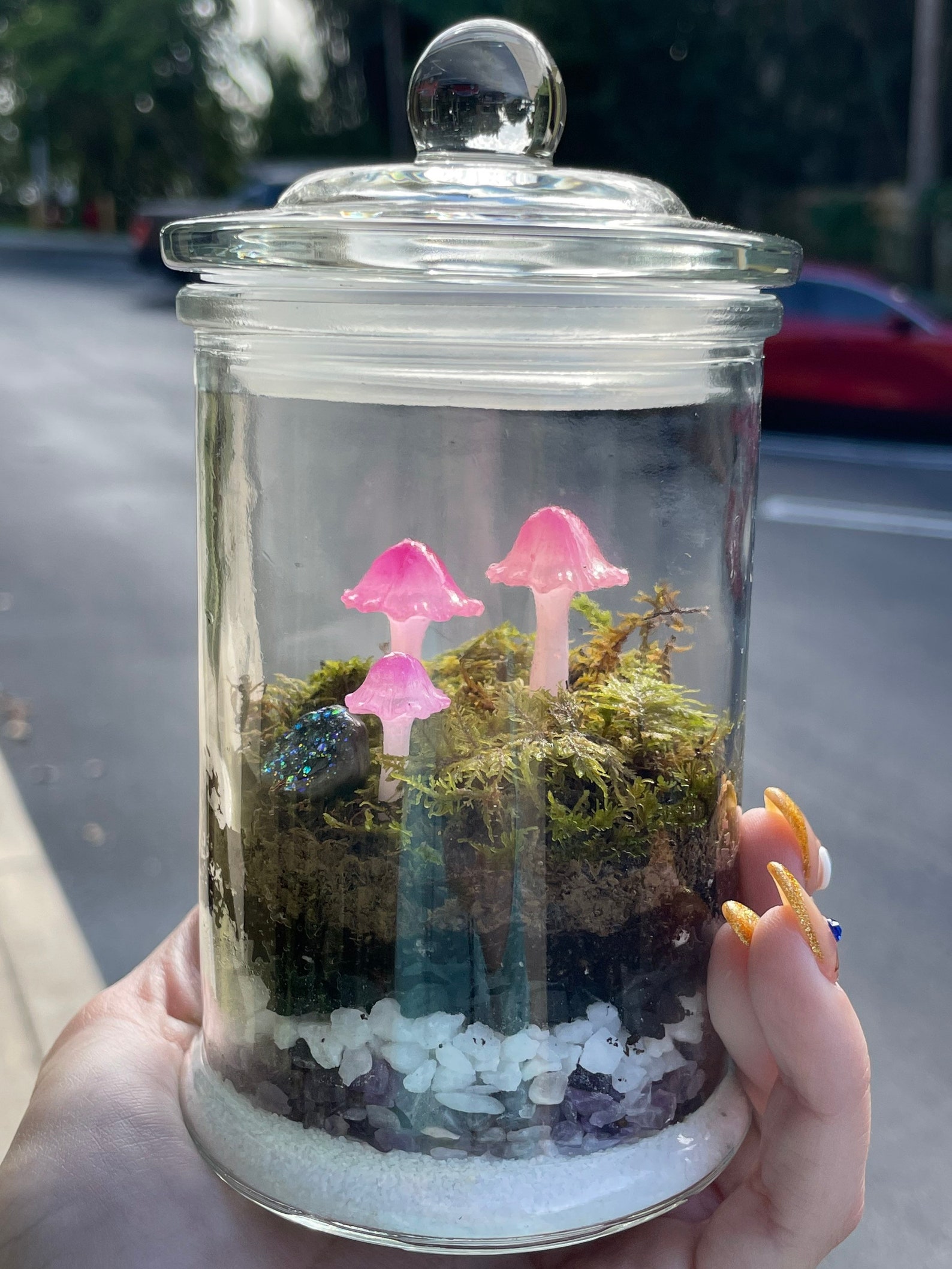 Mini Terrarium With LIVE Moss, Mushrooms and Gemstone - Etsy