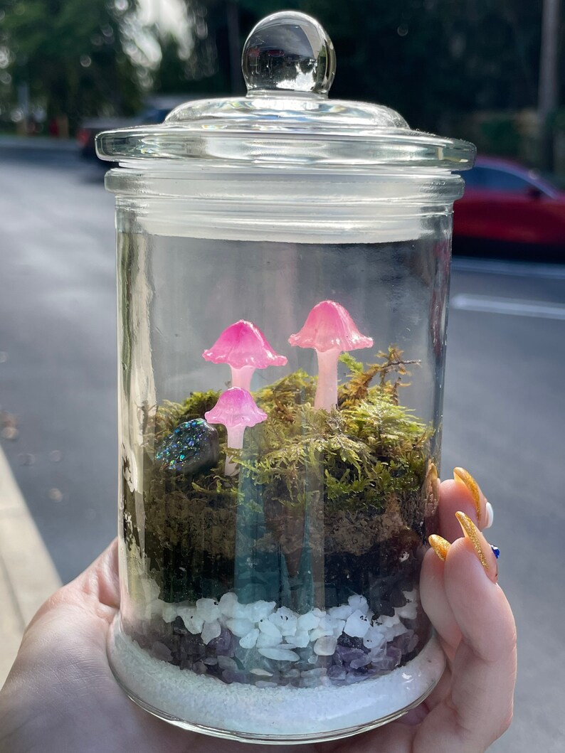 Mini Terrarium With LIVE Moss Mushrooms and Gemstone | Etsy