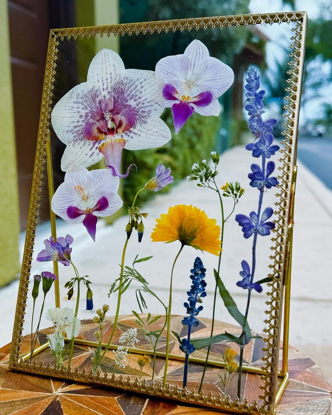 Pressed Flower Frame Real Orchids - Etsy