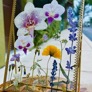 Pressed Flower Frame Real Orchids - Etsy