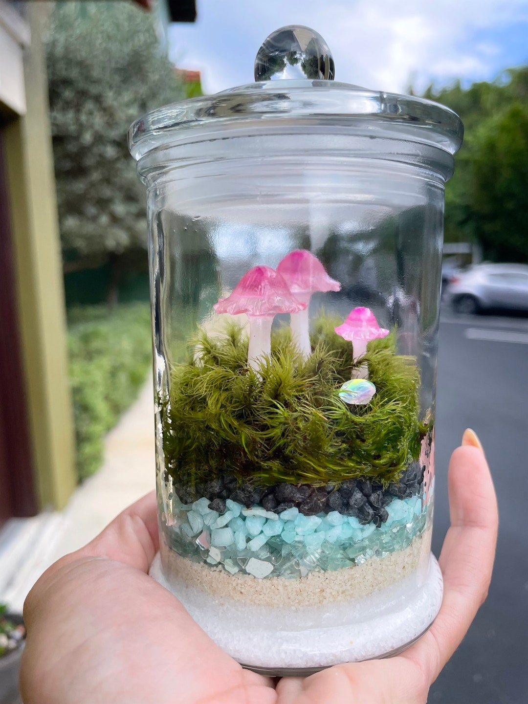 Mini Terrarium With LIVE Moss, Mushrooms and Gemstone - Etsy