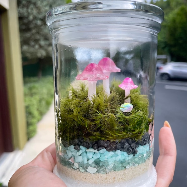 Mini Terrarium - Etsy