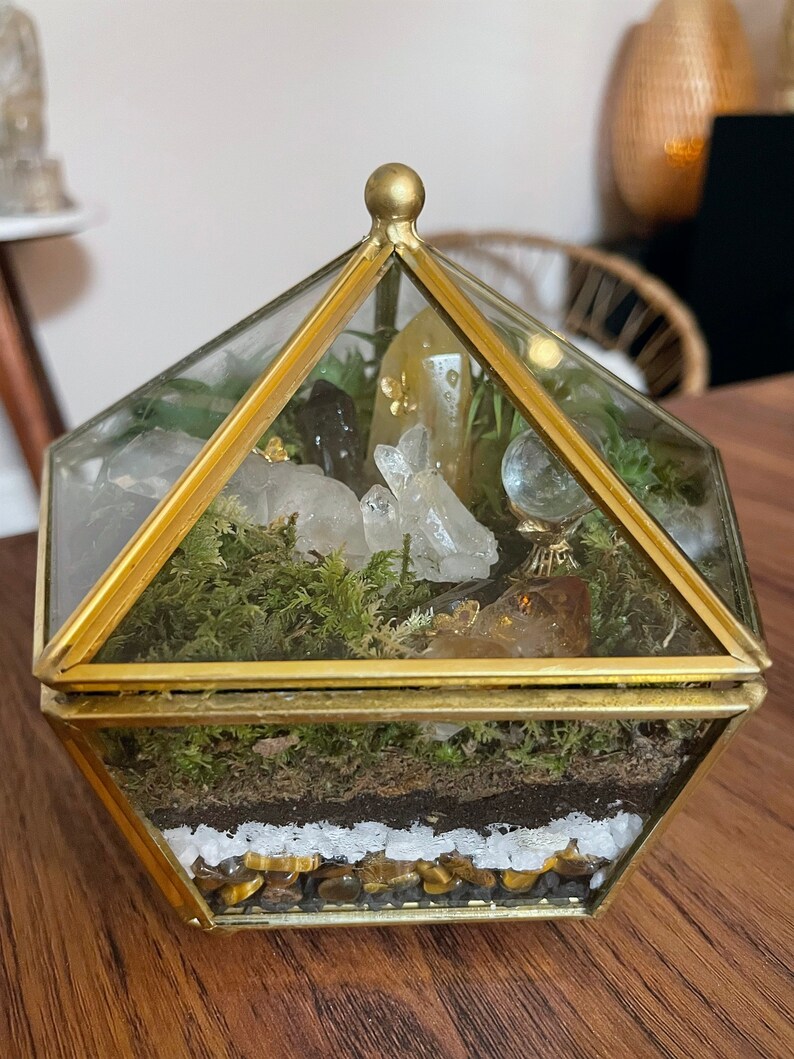 Mini LIVE Crystal Garden Terrarium | Etsy