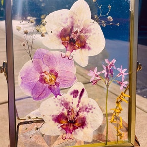 Pressed Flower Frame With Real Orchids - Etsy