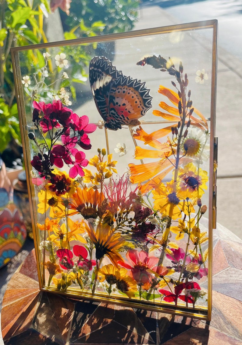 Pressed Flower Frame With Real Butterfly - Etsy