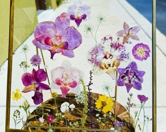 Pressed Flower Frame Real Orchids - Etsy