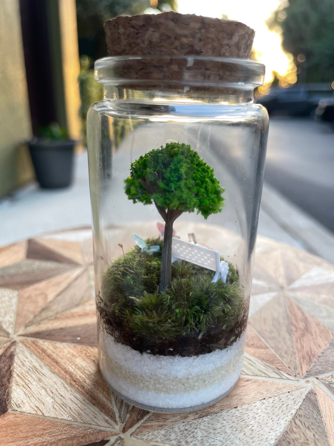 Mini Terrarium With LIVE Moss - Etsy