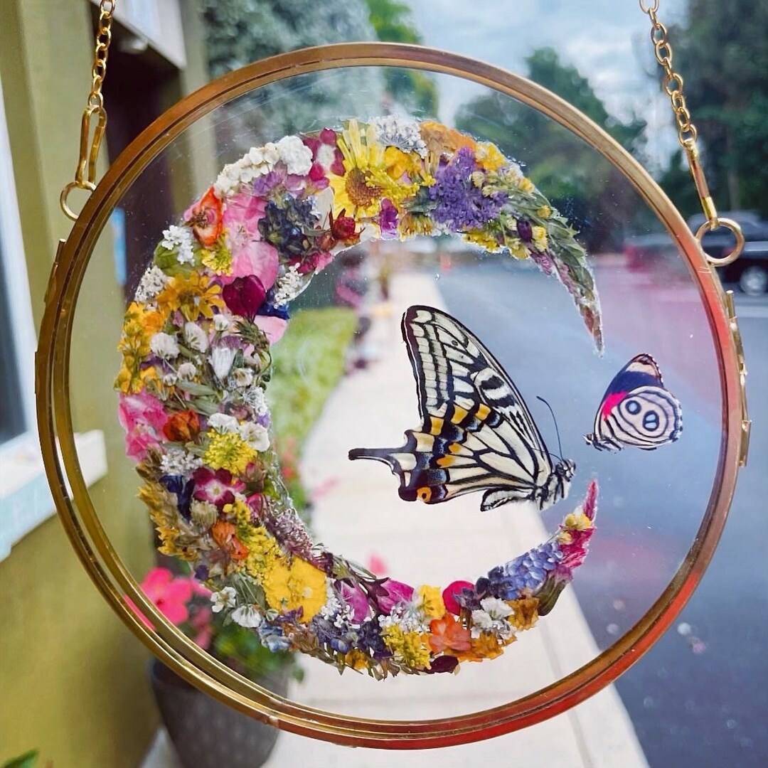 Pressed Flower Crescent Moon Frame With Preserved Butterfly - Etsy
