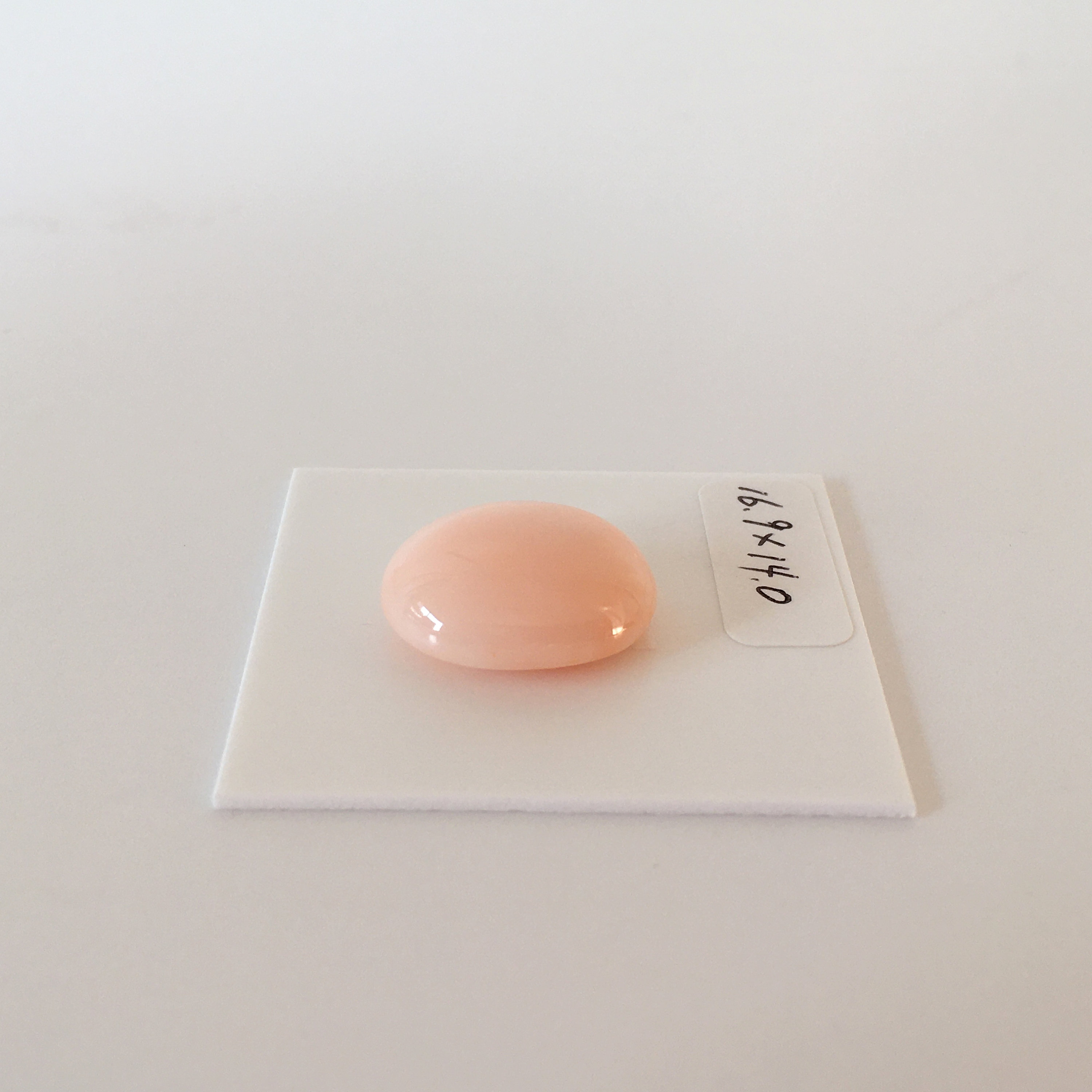 16.9x14.0mm Natural Deep Sea Angel Skin Color Coral Oval | Etsy