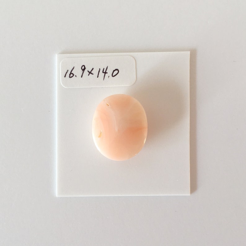 16.9x14.0mm Natural Deep Sea Angel Skin Color Coral Oval | Etsy