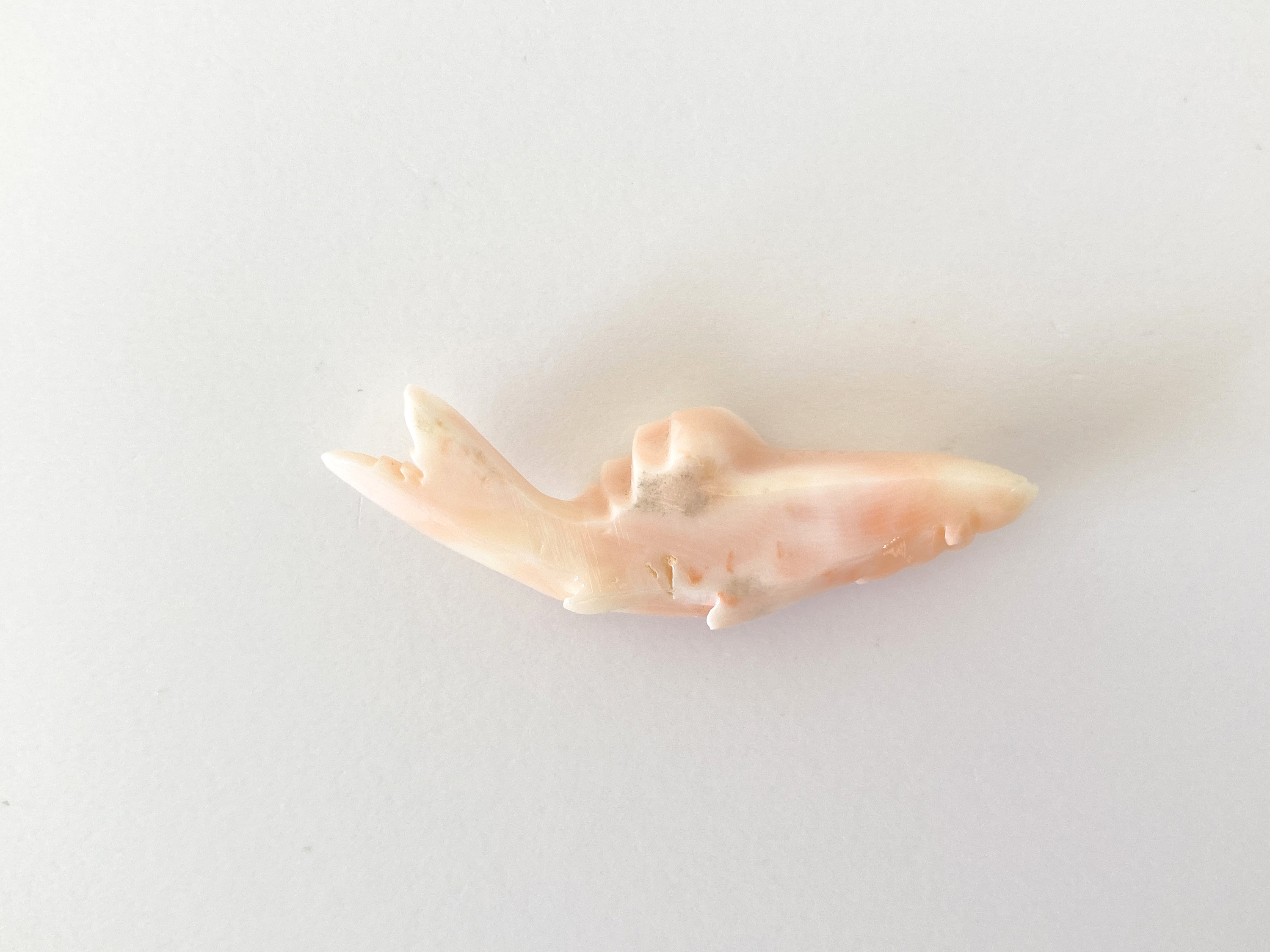 Natural Deep Sea Coral Carp Carving Loose Natural Angel Skin - Etsy