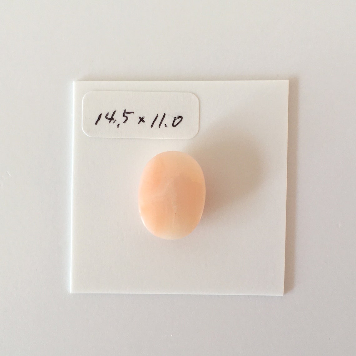 14.5x11.0mm Natural Deep Sea Angel Skin Color Coral Oval - Etsy